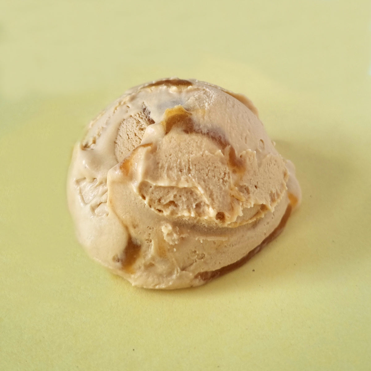 VEGAN DOUBLE CARAMEL – Peacock's Ice Cream